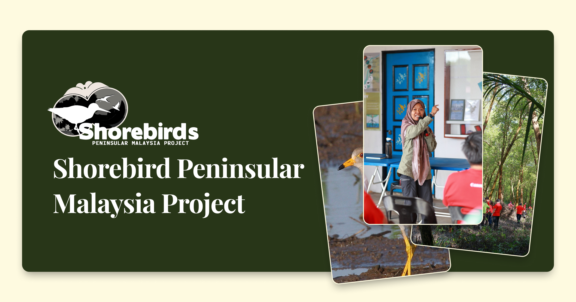 Shorebirds Peninsular Malaysia Project